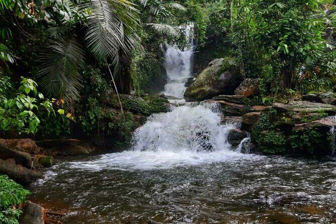 Anakulam Wild elephant Visiting & Tribal village 4*4 Ride - FAQs