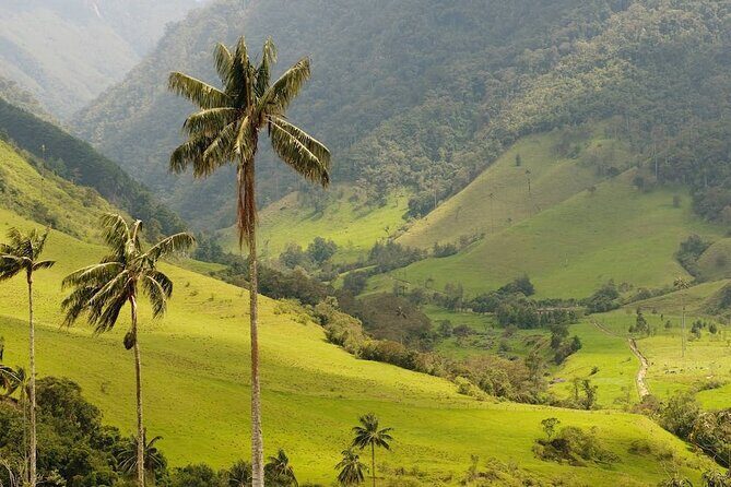 Anamuya Mountains Small Group Walking Tour - An Authentic Getaway into the Dominican Outback