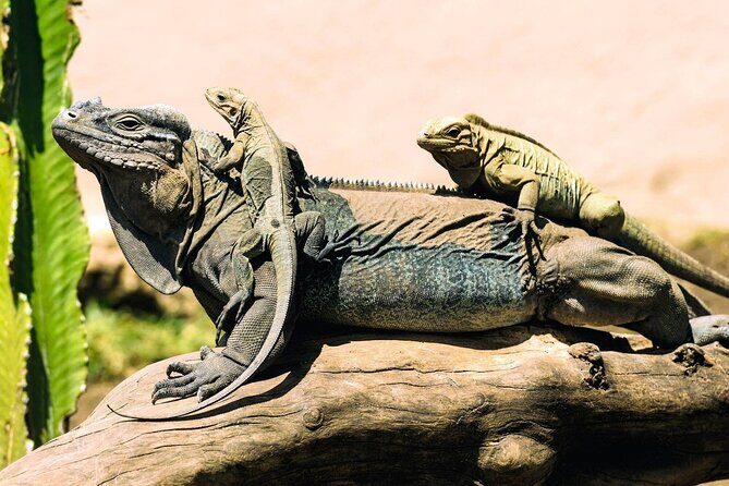 Anamuya Mountains Small Group Walking Tour - Frequently Asked Questions (FAQs)