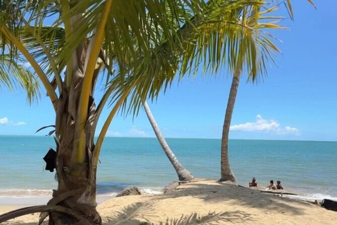 Añasco-Bunny Fever Adventure Experience - Final Thoughts