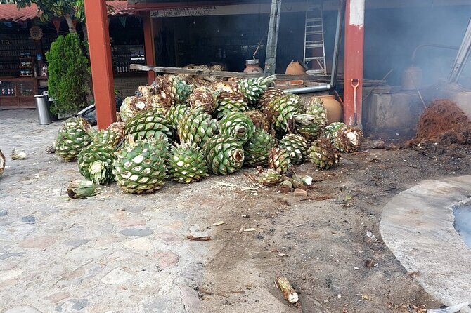 Ancestral Mezcal Tour Experience A pre Hispanic Heritage - The Sum Up: Why This Tour Stands Out