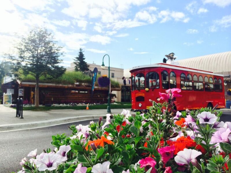 Anchorage: 1-Hour Trolley Tour - FAQs