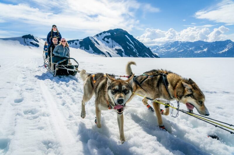 Anchorage Area: Helicopter and Glacier Dogsled Tour - Authenticity and Guides