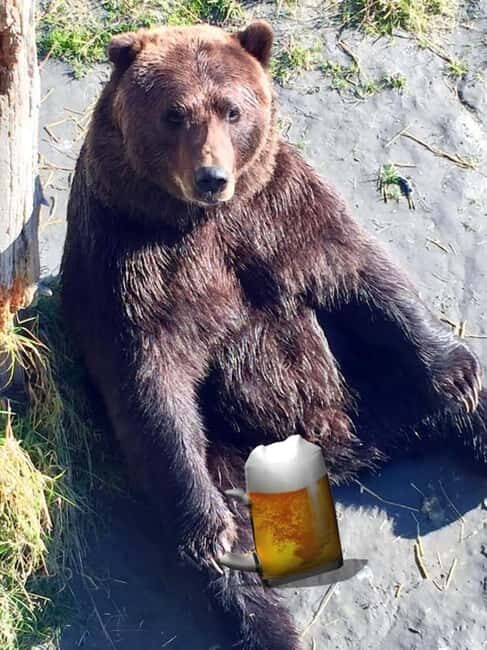 Anchorage: Bears, Beers, and Glacier Tour - FAQs