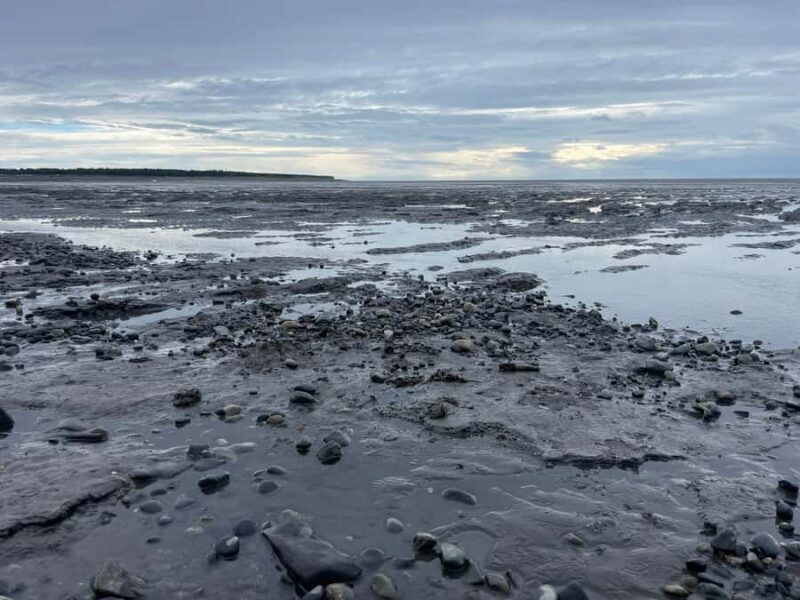 Anchorage discovery tour - Key Points