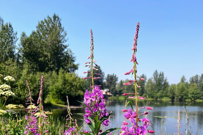 Anchorage Greenbelt Bike Tour - Exploring Anchorage’s Greenbelt by Bike: A Detailed Adventure