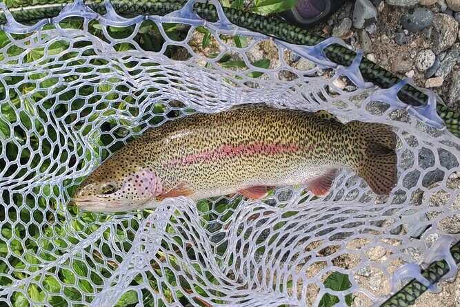 Anchorage Guided Fly-fishing - The Experience in Detail