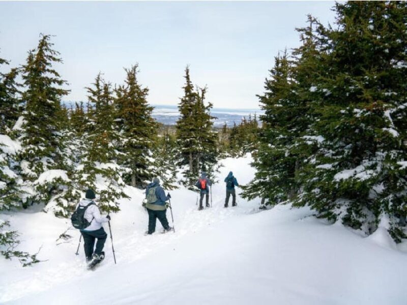 Anchorage: Heli Snowshoe Adventure - The Sum Up