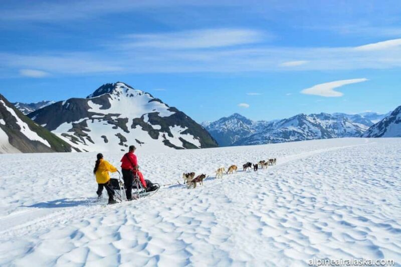Anchorage: Helicopter Glacier Dogsledding Tour - Diving into the Experience: What You Can Expect