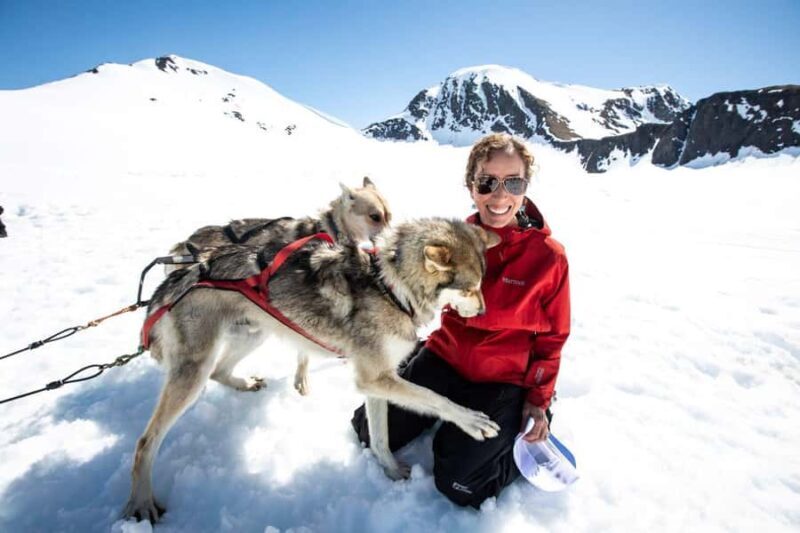 Anchorage: Helicopter Glacier Dogsledding Tour - Why This Tour Is Worth Considering