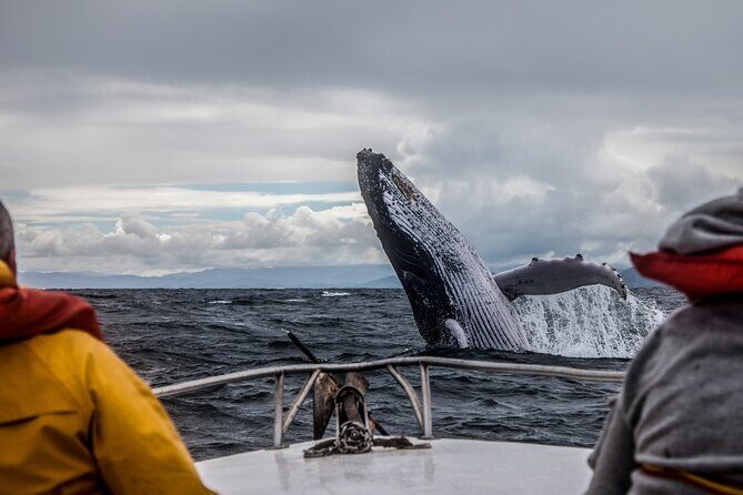 Anchorage: Kenai Fjords & Denali National Park 5 Day 4 Night Tour - Frequently Asked Questions