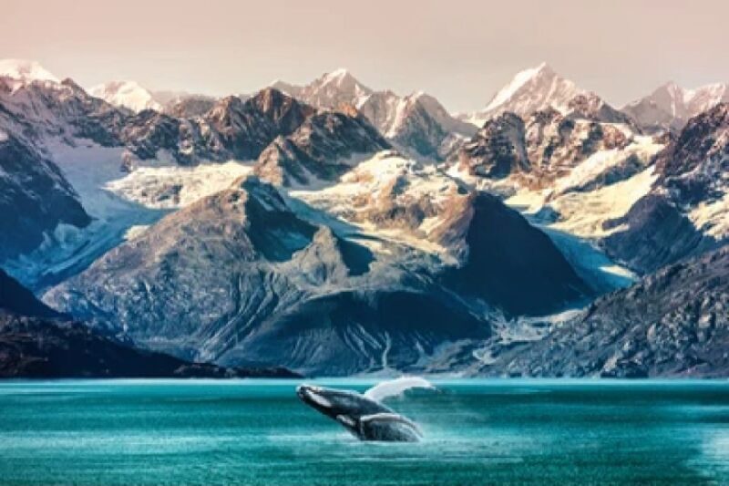 Anchorage: Kenai Fjords & Denali National Park 5 Day Tour - Key Points