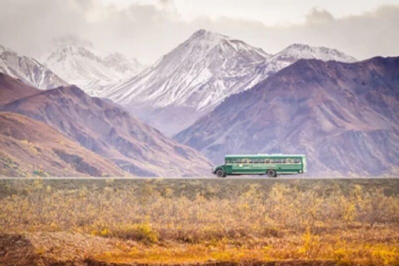 Anchorage: Kenai Fjords & Denali National Park 5 Day Tour - Who Is This Tour Best For?