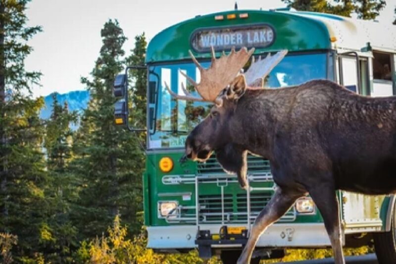 Anchorage: Kenai Fjords & Denali National Park 5 Day Tour - FAQs