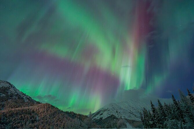 Anchorage Northern Lights Tour - An Honest Breakdown of the Anchorage Northern Lights Tour