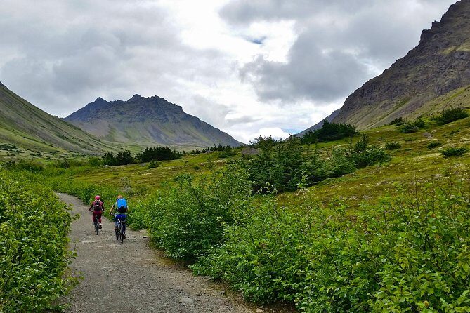 Anchorage Scenic Mountain Bike Tour - The Sum Up