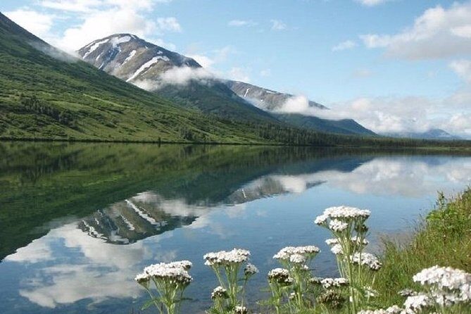 Anchorage to Seward Cruise Transfer and Private Tour - Valuing the Experience