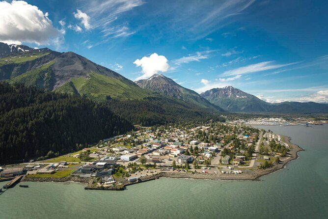 Anchorage to Seward Direct Transfer Tour - Who Will Love This Tour?