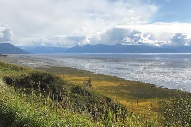 Anchorage to Seward Direct Transfer Tour - The Sum Up: A Smart Choice for Comfort and Scenery