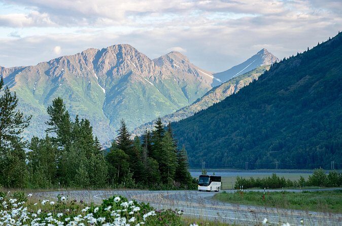 Anchorage to Whittier Direct Transfer Tour - The Sum Up: Is This Transfer Right for You?