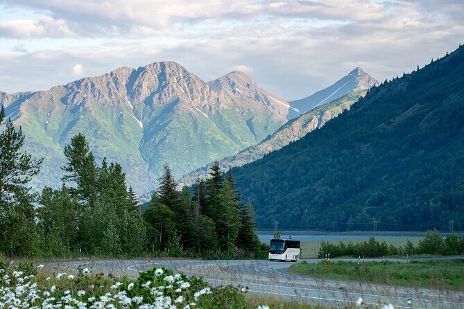 Anchorage to Whittier Wildlife Adventure - Introduction: An Authentic Alaska Experience for Nature Lovers