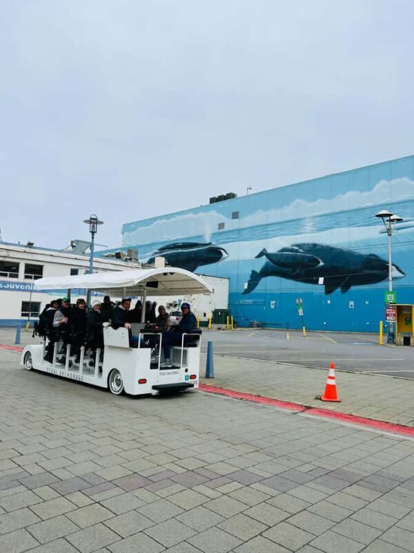 Anchorage: Tour on a unique 14-passenger electric vehicle - FAQ
