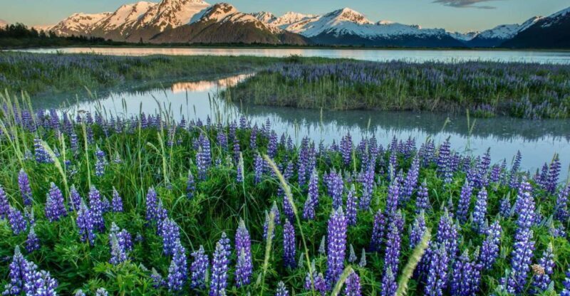 Anchorage: Turnagain Arm Highlights Photography Day Trip - An Overview of the Tour Experience