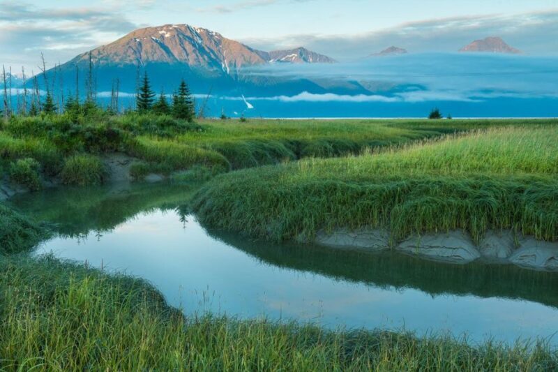Anchorage: Turnagain Arm Highlights Photography Day Trip - The Importance of Flexibility: Booking & Cancelation Policy