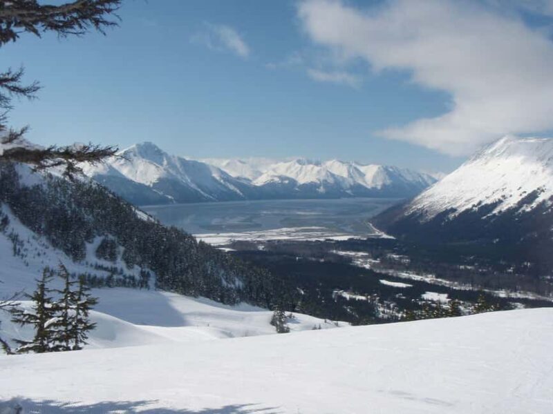 Anchorage: Turnagain Arm Scenic Winter Tour with a Guide - Who Will Enjoy This Tour?