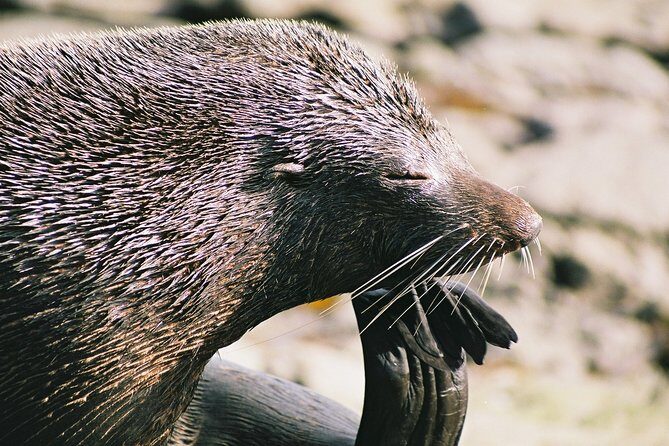 Anchorage Walk and Sail - An In-Depth Look at the Anchorage Walk and Sail Experience