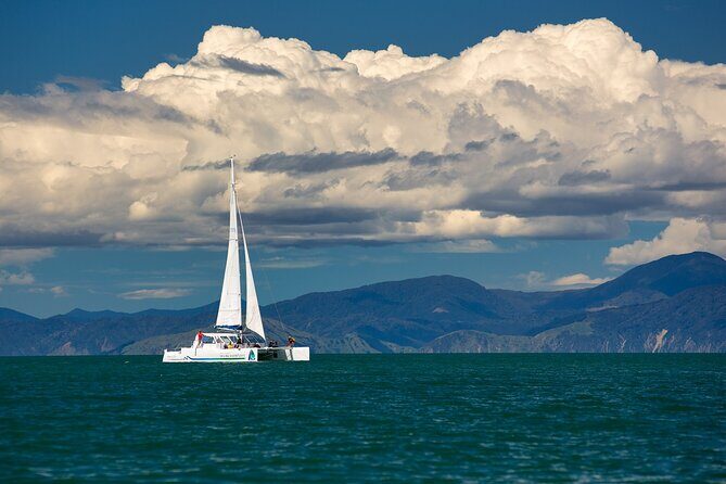 Anchorage Walk and Sail - The Sum Up