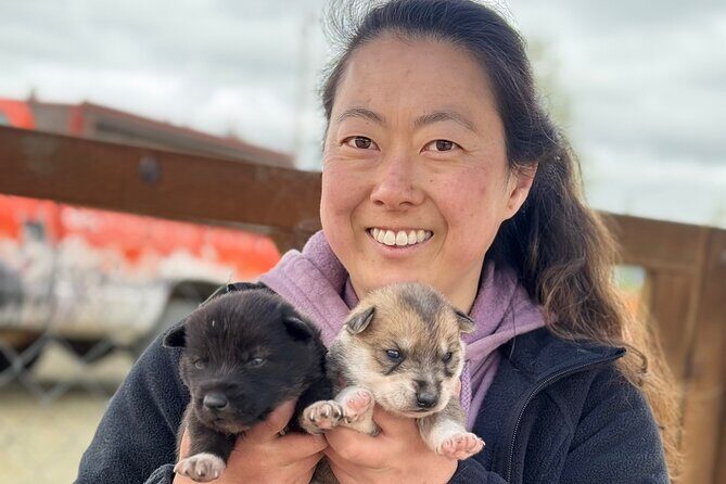 Anchorage's Authentic Dog Sledding Experience - Key Points