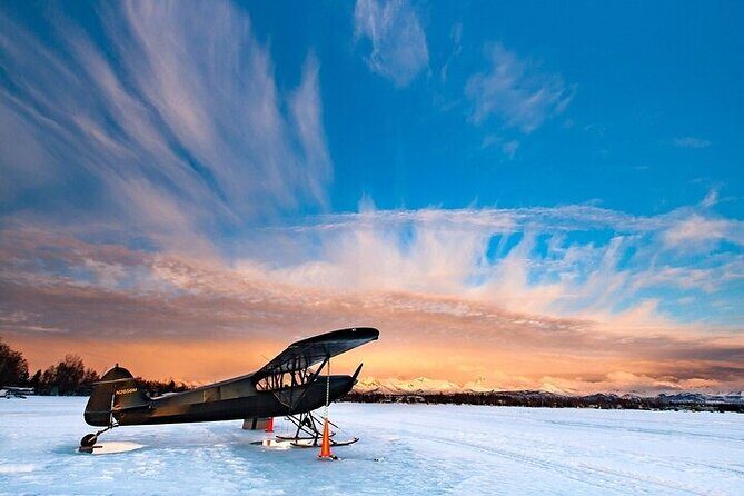 Anchorage's Winter City Tour = Samples + Stops + WildLife - FAQ