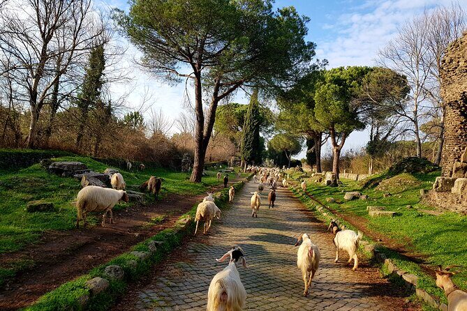 Ancient Appian Way and Roman Countryside E-Bike Tour - Who Should Consider This Tour?