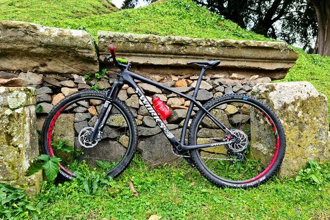 Ancient Appian Way and Roman Countryside E-Bike Tour - Final Thoughts: The Value and Who Will Love It