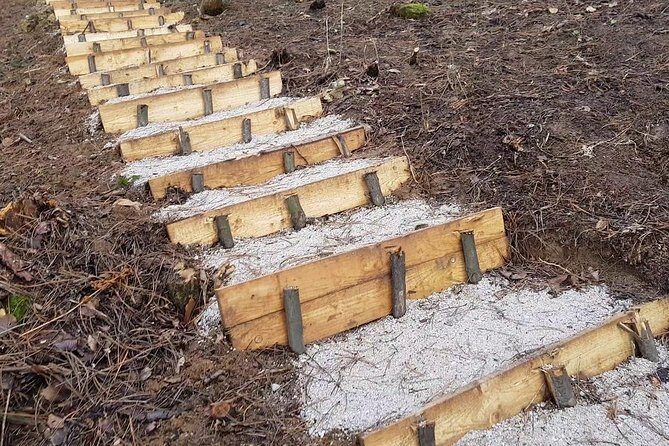 Ancient Bosnian Pyramid of the Sun - Who Should Consider This Tour?