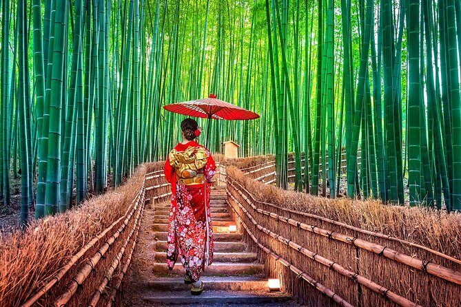 Ancient Capital Tour: Kyoto and Nara Highlights from Kyoto/Osaka - Return and Reflection