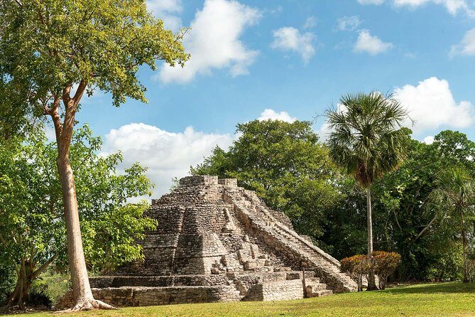 Ancient Chacchoben Mayan Ruins Tour from Costa Maya - Walkthrough of the Itinerary