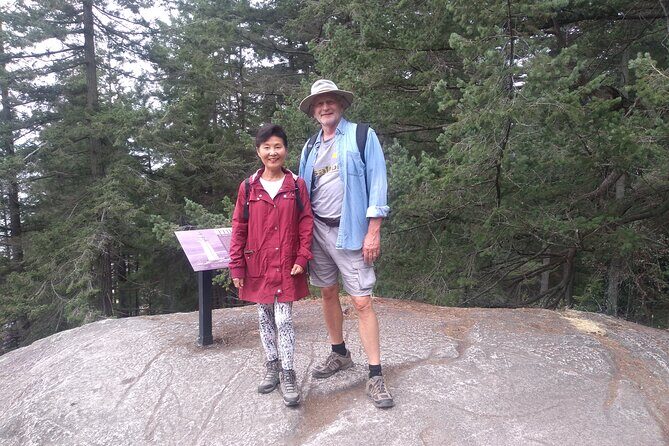 Ancient Forest , Waterfalls and Stunning Vistas Day Tour - The Sum Up: Why This Tour Offers Genuine Value