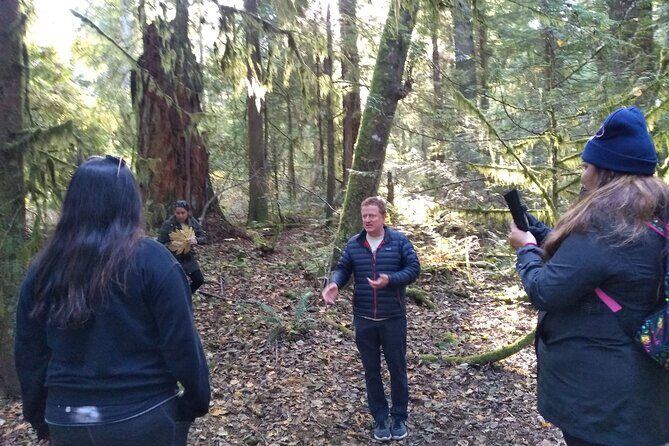 Ancient Forest , Waterfalls and Stunning Vistas Day Tour - FAQ