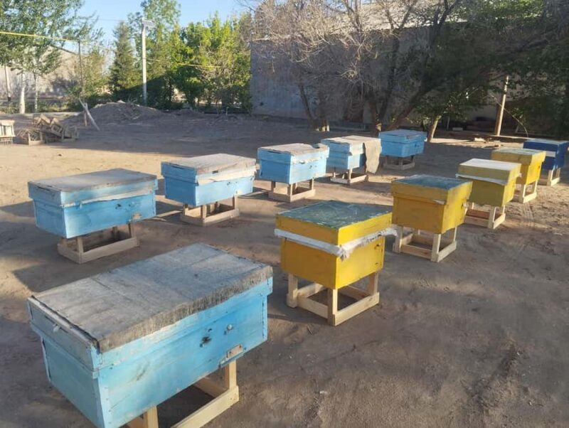 Ancient Fortresses of Khorezm Day Trip with Lunch in village - Final Stop: Ayaz Kala Fortress and Return