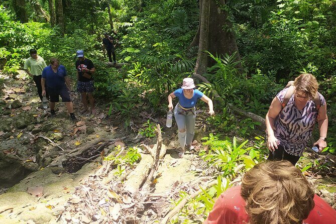 Ancient Lava Stream Trek through dense Tropical forest. - The Value and Opportunity of Guided Exploration