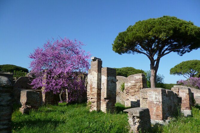 Ancient Ostia Full Day Tour with Pick Up - Transportation and Timing