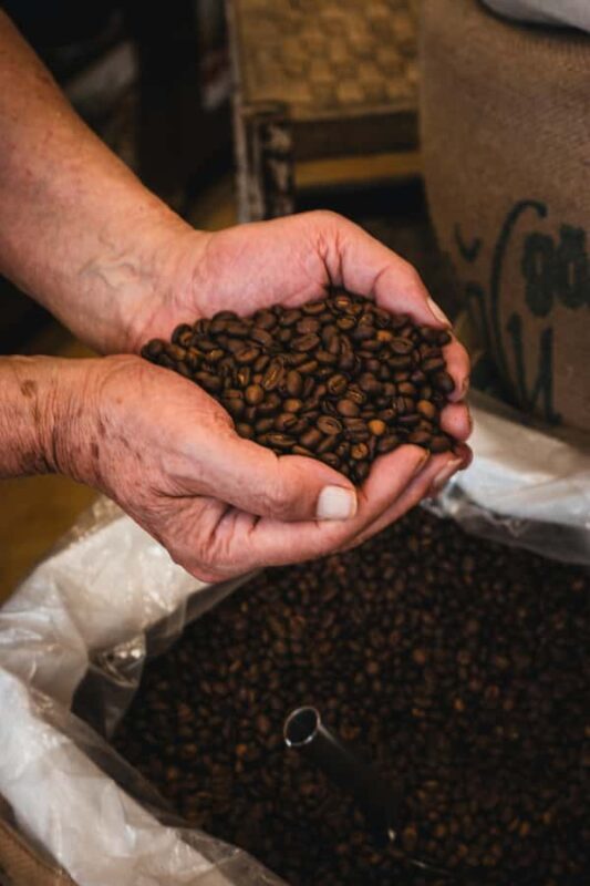 Ancient Penglipuran Village and Bamboo Forest Trekking - Is It Worth the Price?