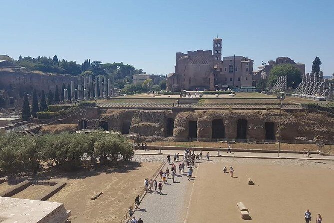 Ancient Rome and Colosseum: Half Day Private Tour - The Value and Cost