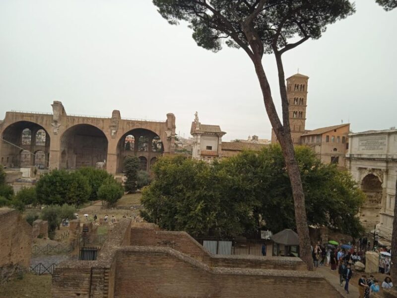 Ancient Rome and Domus Tiberiana Exclusive Guided Tour - Key Points