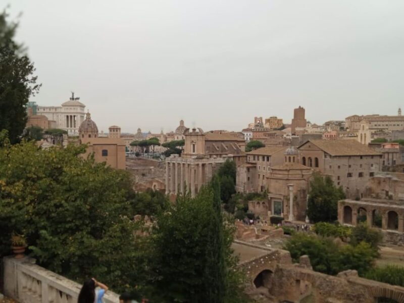 Ancient Rome and Domus Tiberiana Exclusive Guided Tour - What’s Particularly Valuable?
