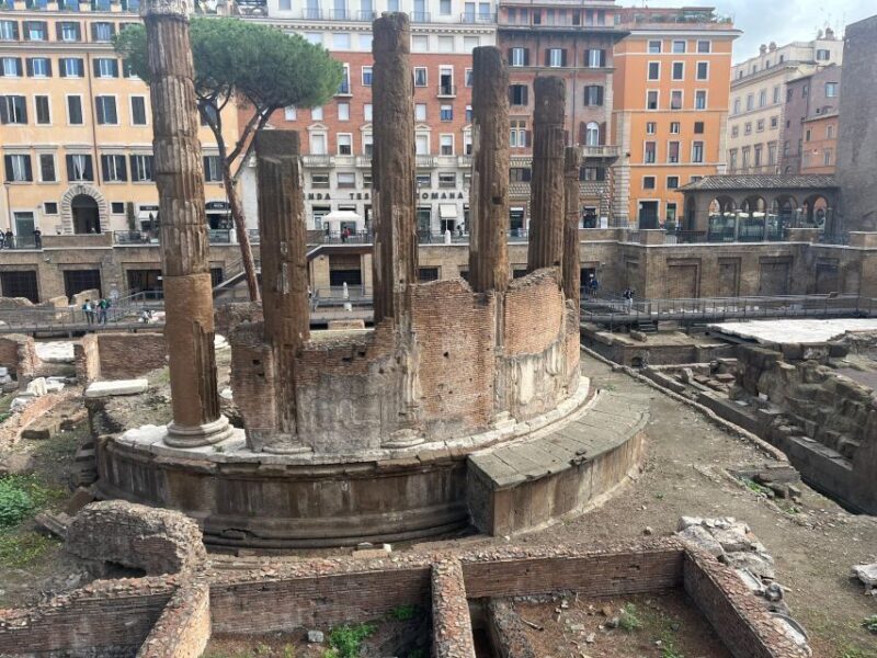 Ancient Rome: Archeological area Largo Argentina - Who Should Consider This Tour?
