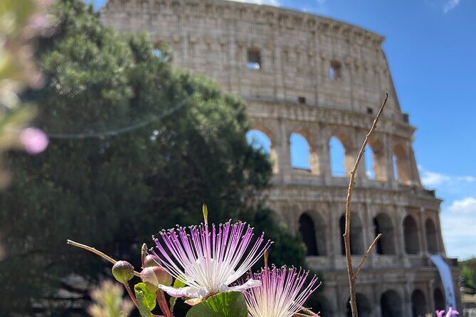 Ancient Rome Colosseum Ticket and Virtual Reality Experience - FAQ