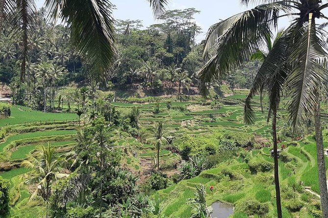 Ancient Temples Tours, Waterfall and Coffee Plantation - Ubud Art Market – A Cultural Finale
